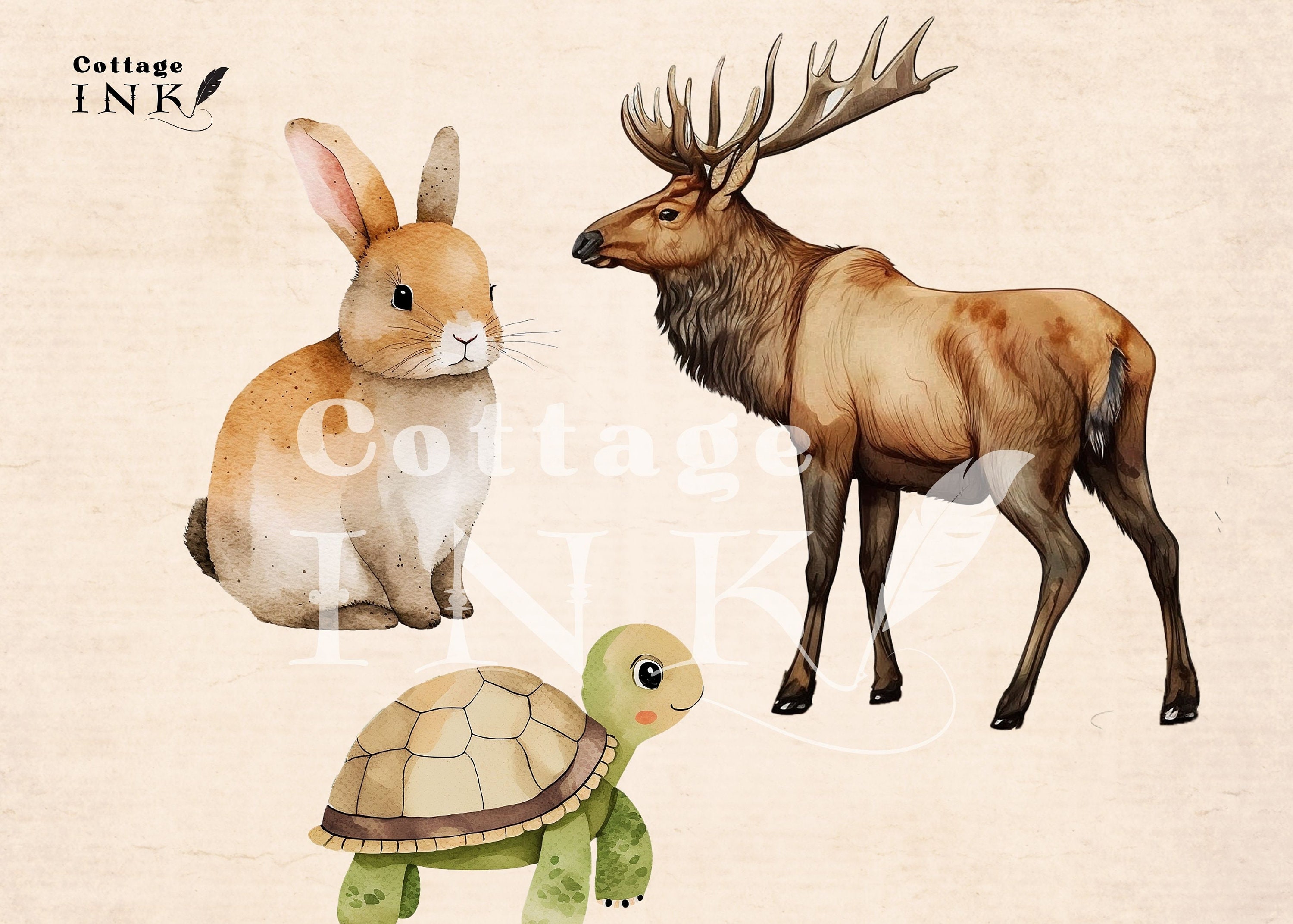 Watercolor Woodland Animals Clipart, Cottagecore Woodland Animals ...