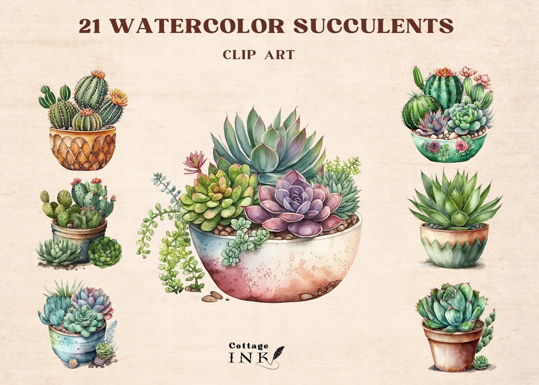 Watercolor Succulents Clipart Bundle, Boho Cactus and Succulent Clipart ...