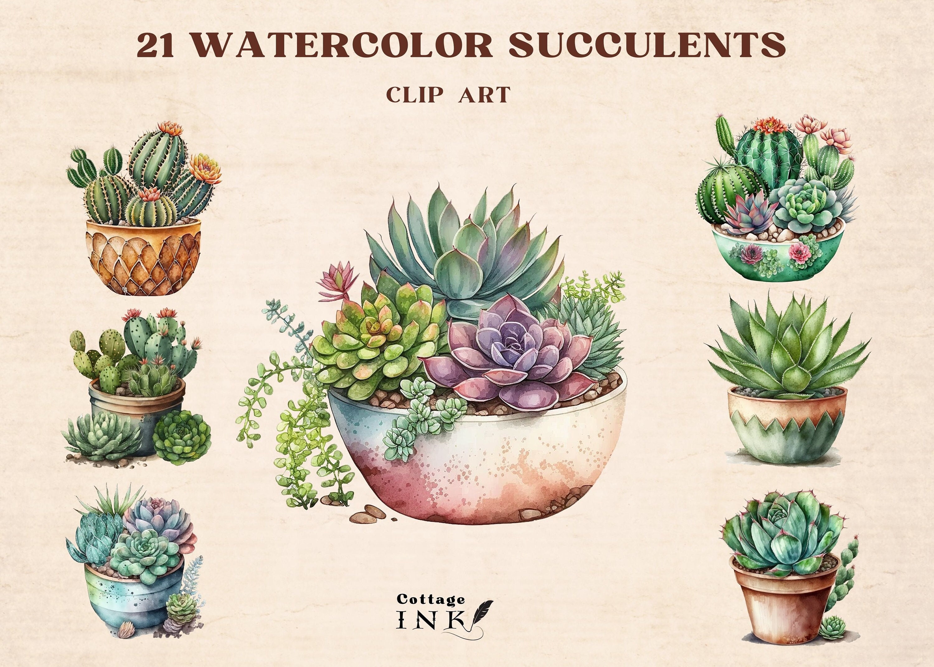 Watercolor Succulents Clipart Bundle, Boho Cactus and Succulent Clipart ...