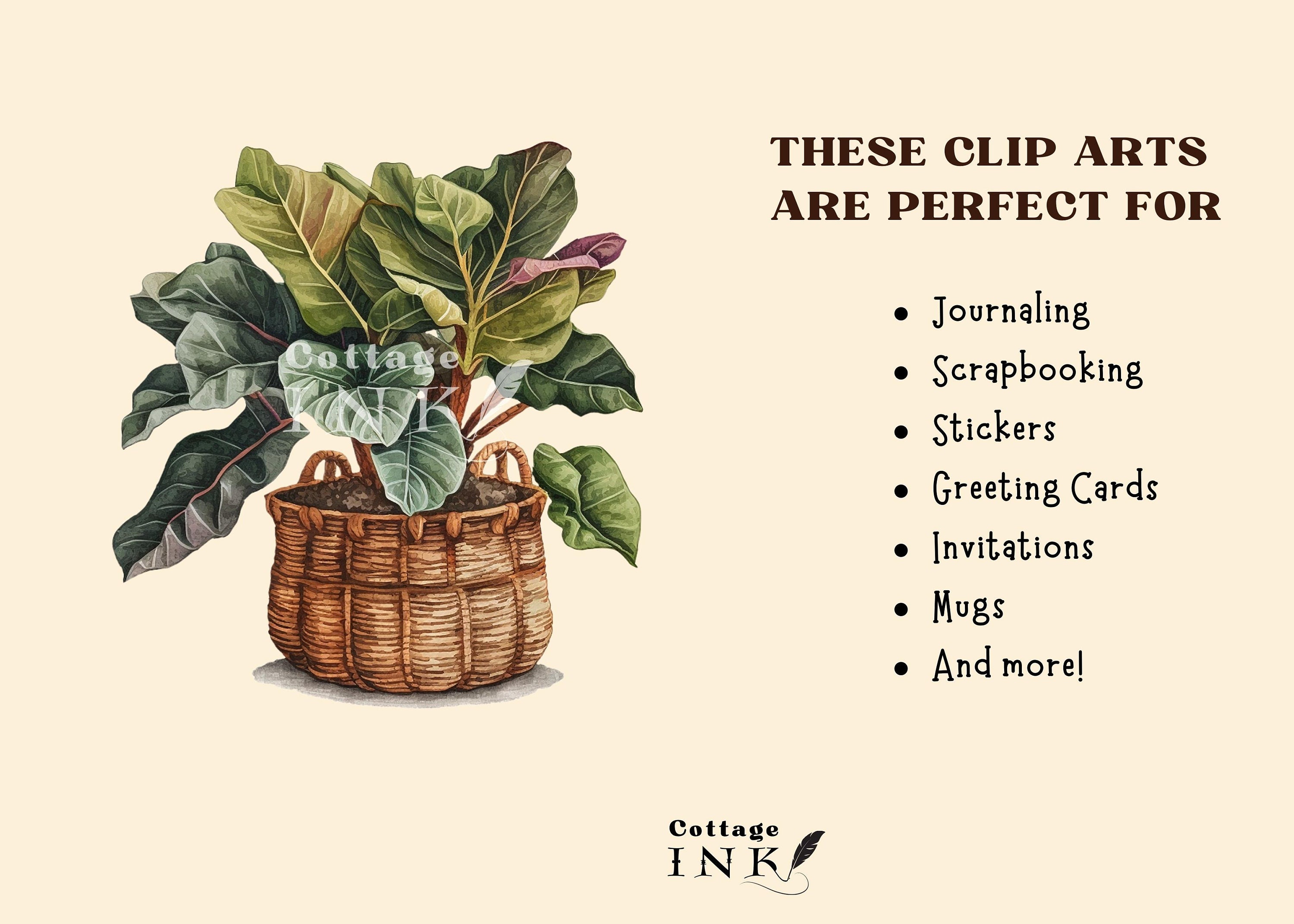 Watercolor Potted Plants Clipart Bundle, Boho House Plants PNG ...