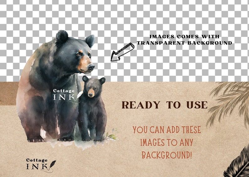 Watercolor Black Bear Clipart, Forest Animal PNG, Printable Cute Baby ...