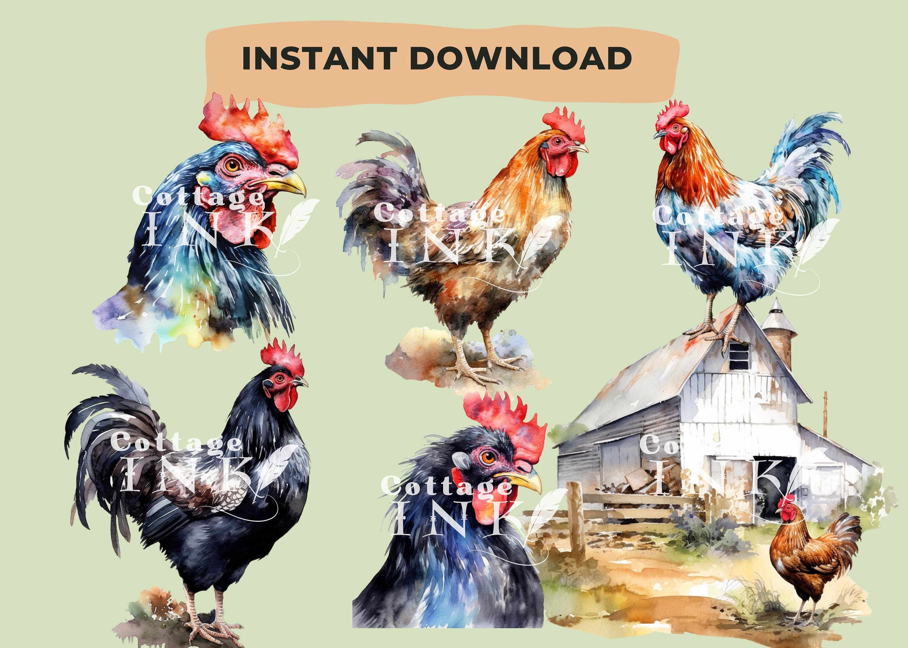 Watercolor Chicken Clipart Bundle, Farm Animal Clipart, Chicken Coop ...
