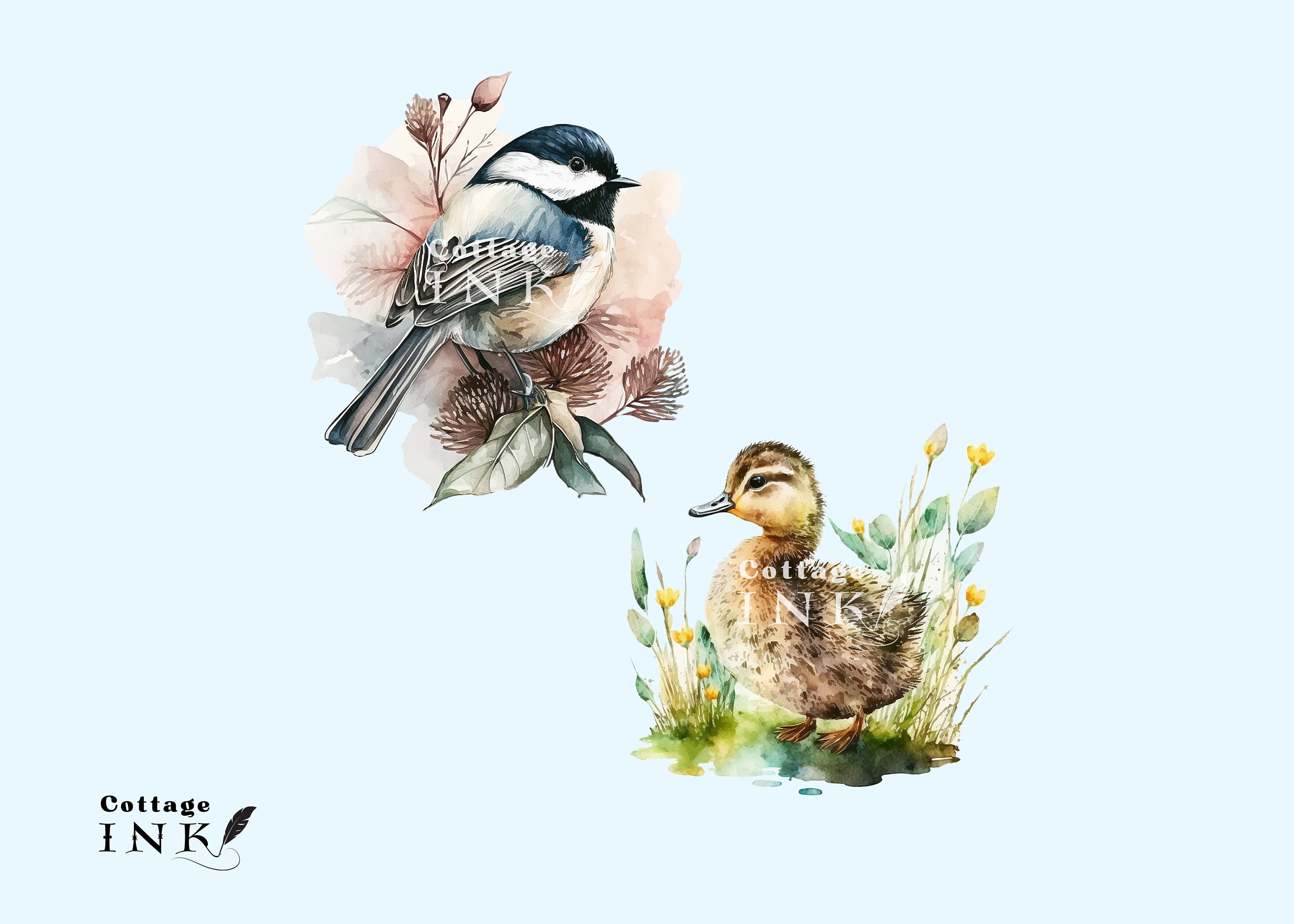 Cottagecore Birds Clipart Bundle, Watercolor Birds PNG Cliparts, Forest ...