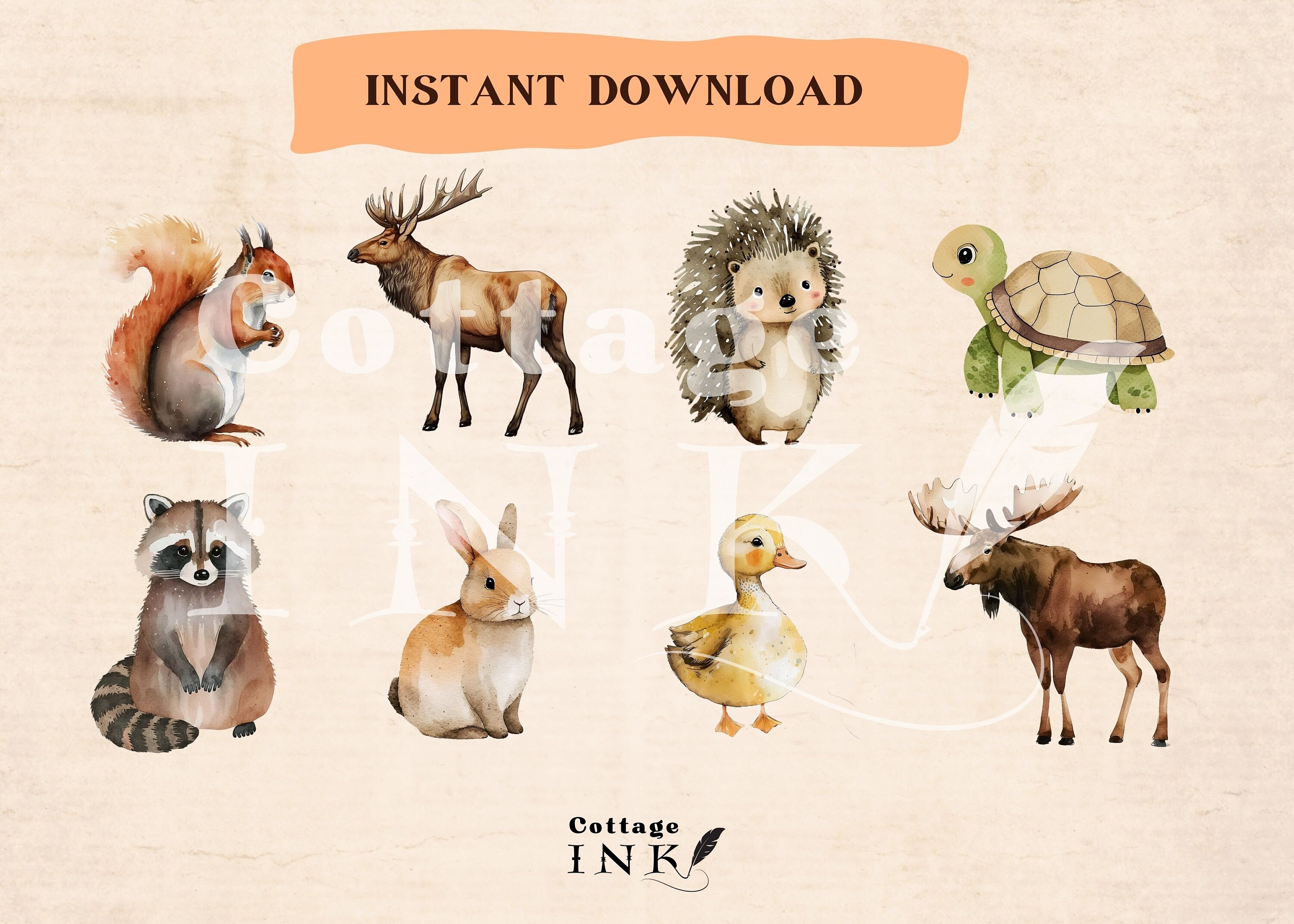 Watercolor Woodland Animals Clipart, Cottagecore Woodland Animals ...