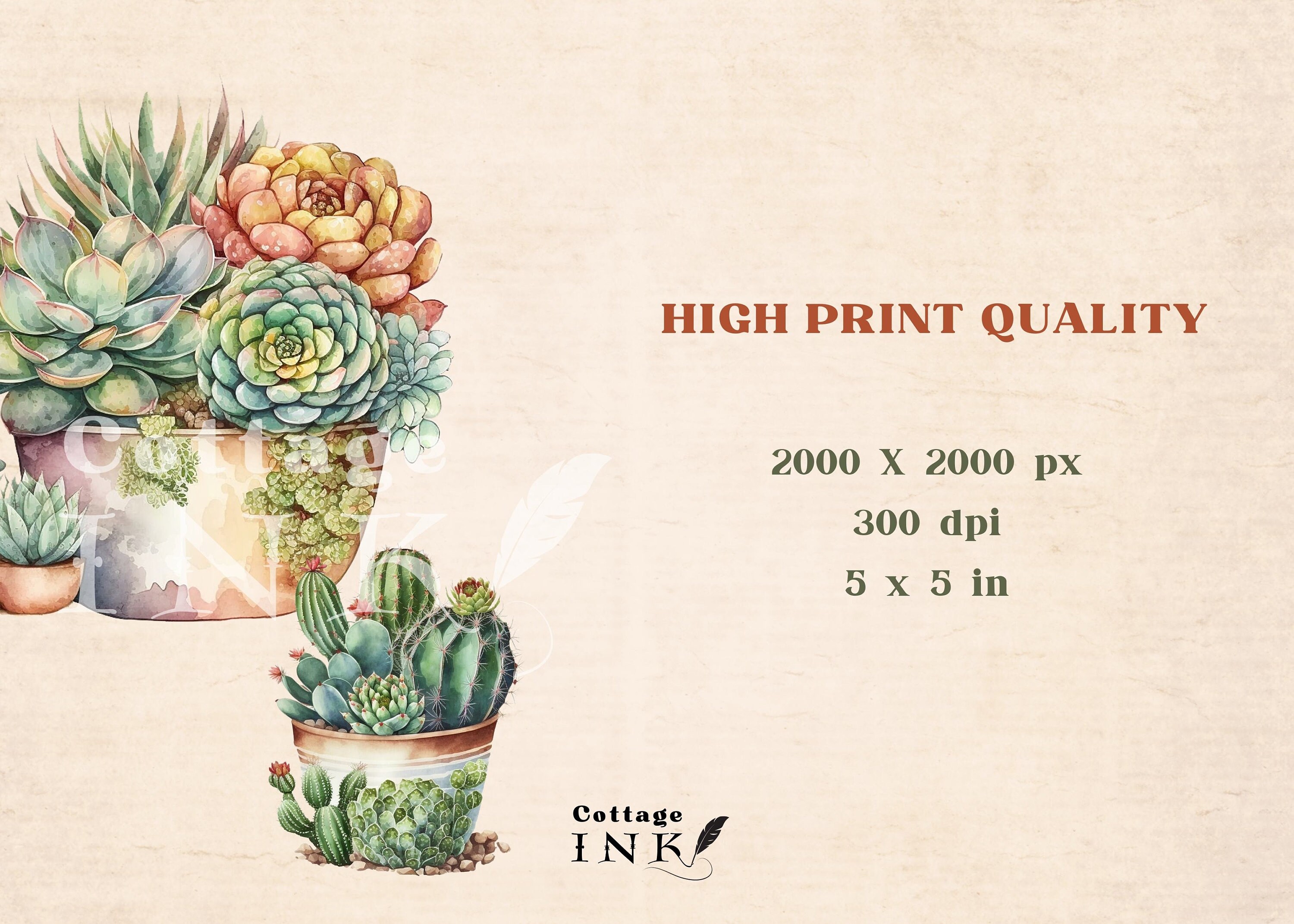 Watercolor Succulents Clipart Bundle Boho Cactus and - Etsy