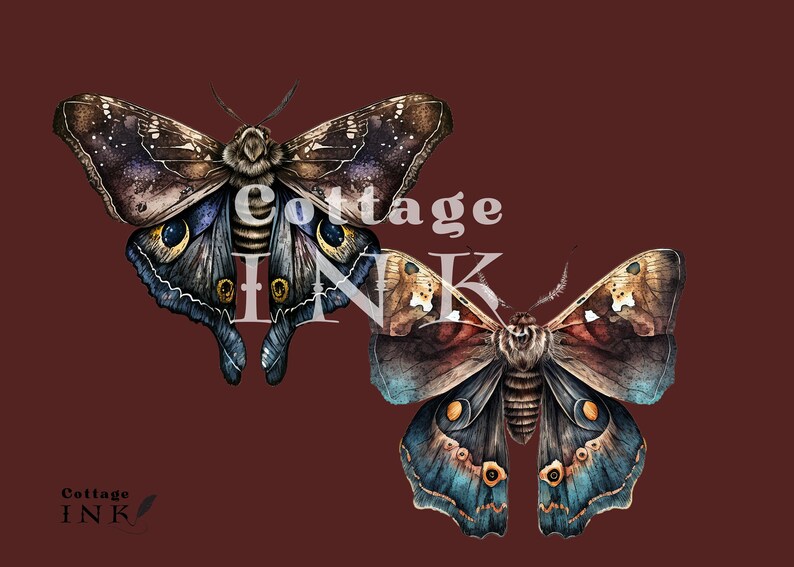 Watercolour Mystical Moth Clipart Bundle, Gothic Moth Butterfly PNG ...