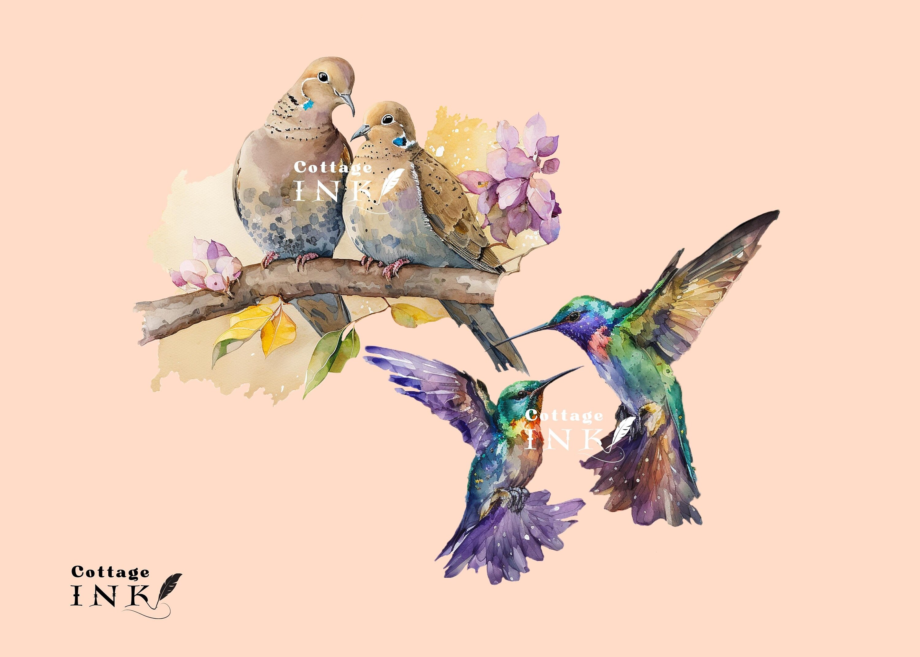 Love Birds Clipart Bundle Watercolor Valentines Birds PNG - Etsy