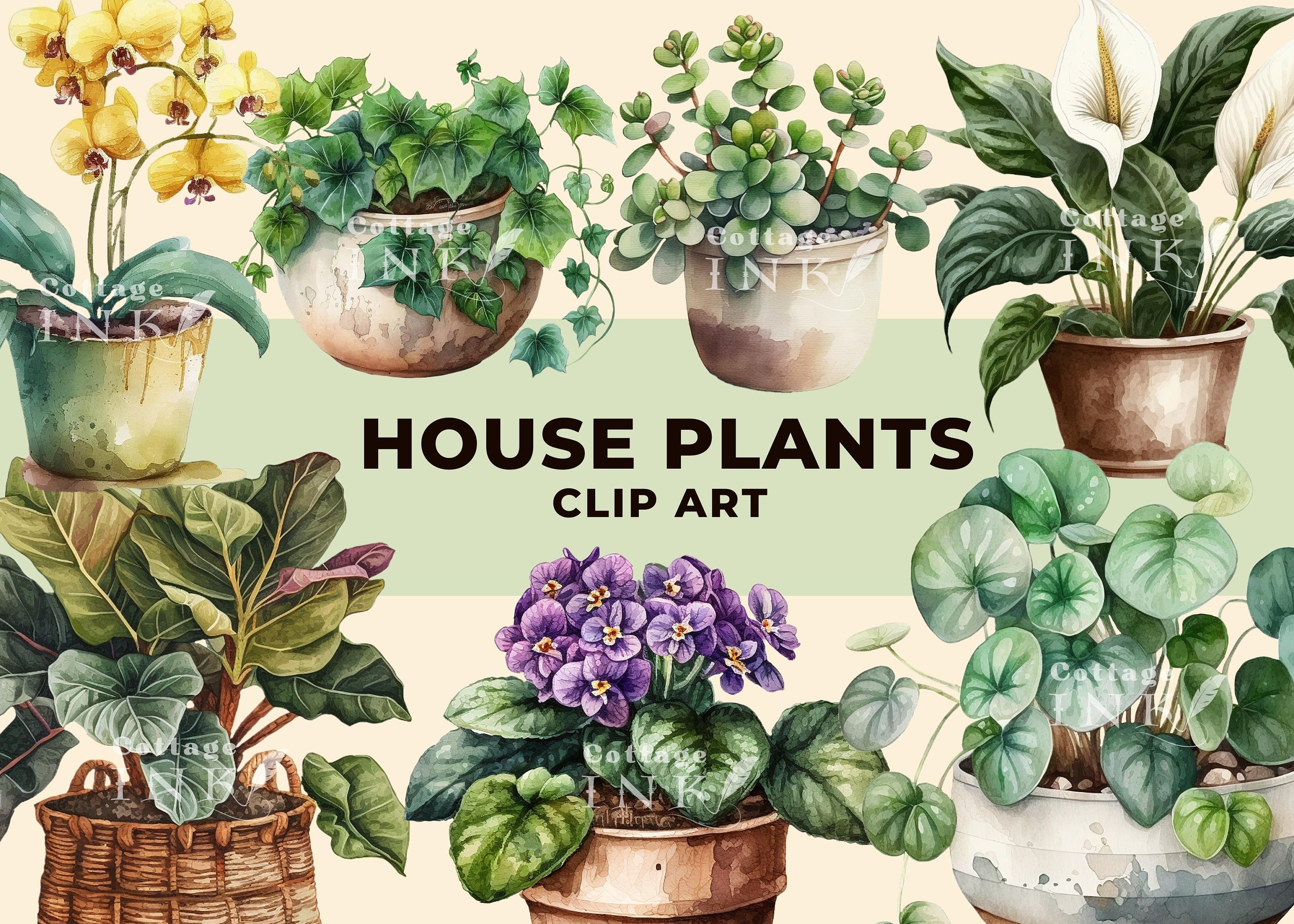 Watercolor Potted Plants Clipart Bundle, Boho House Plants PNG ...