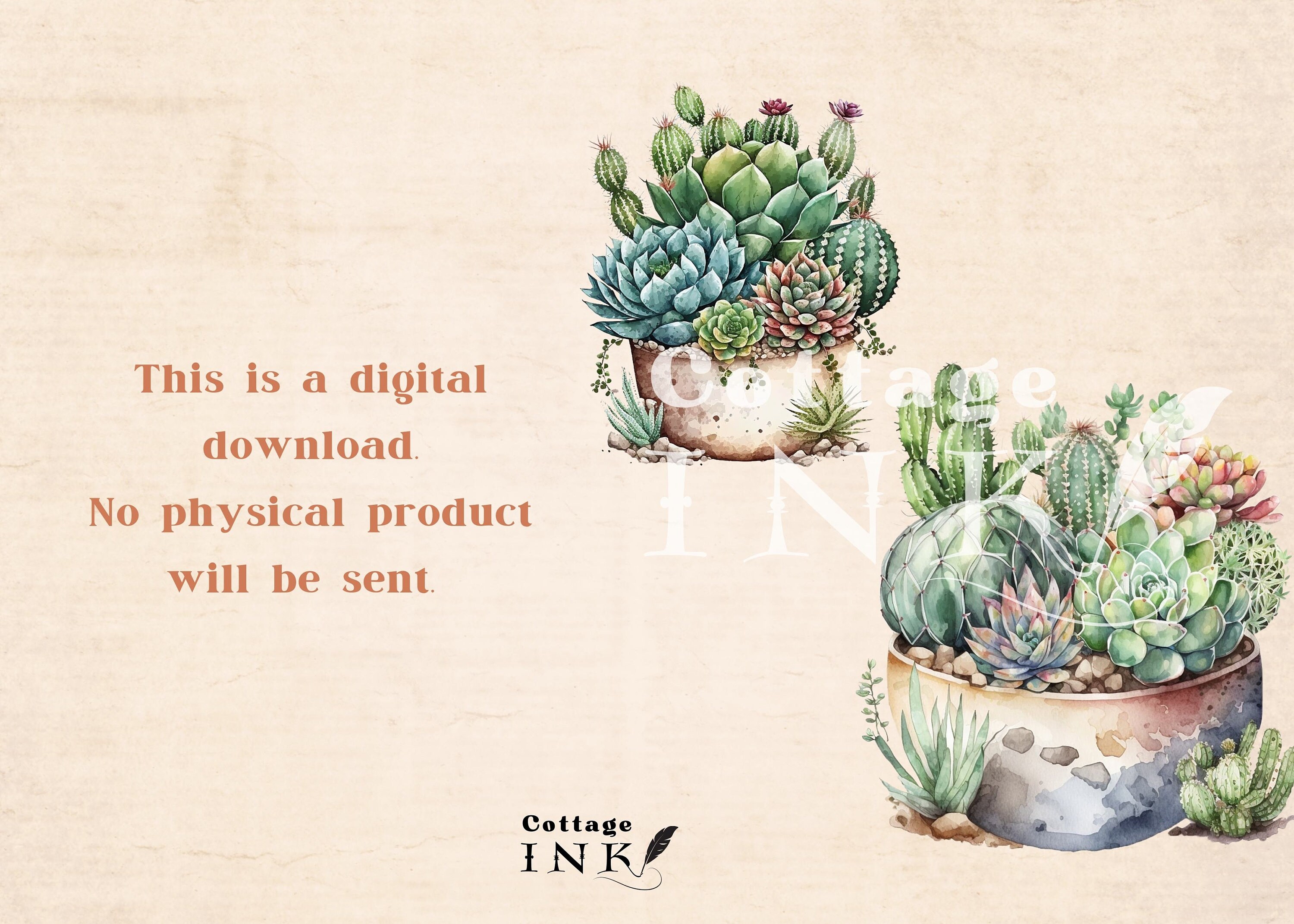 Watercolor Succulents Clipart Bundle Boho Cactus and - Etsy