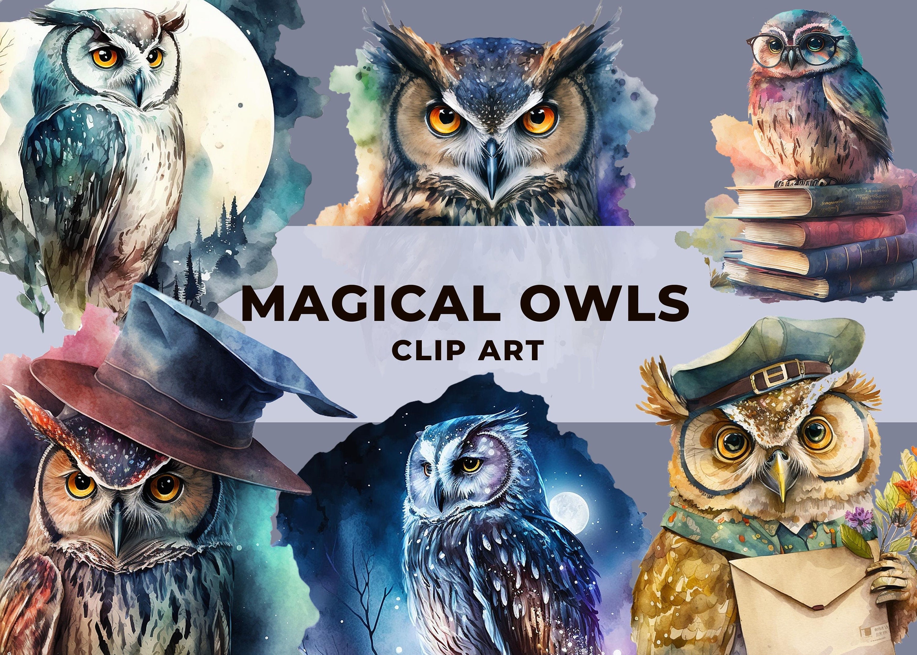 Walrus Clipart Pictures Of Owls