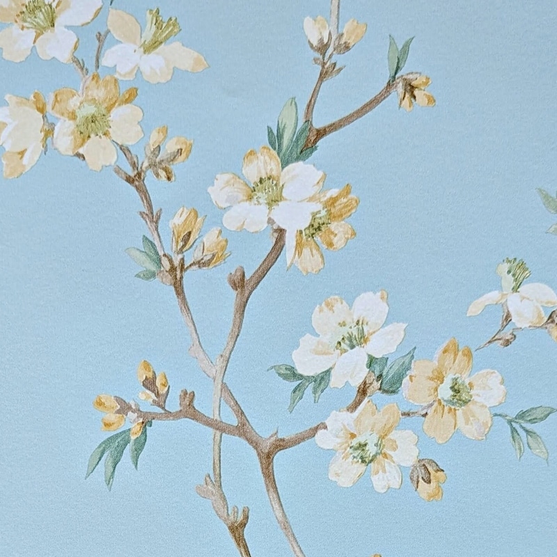 Blue Robins Egg - Etsy