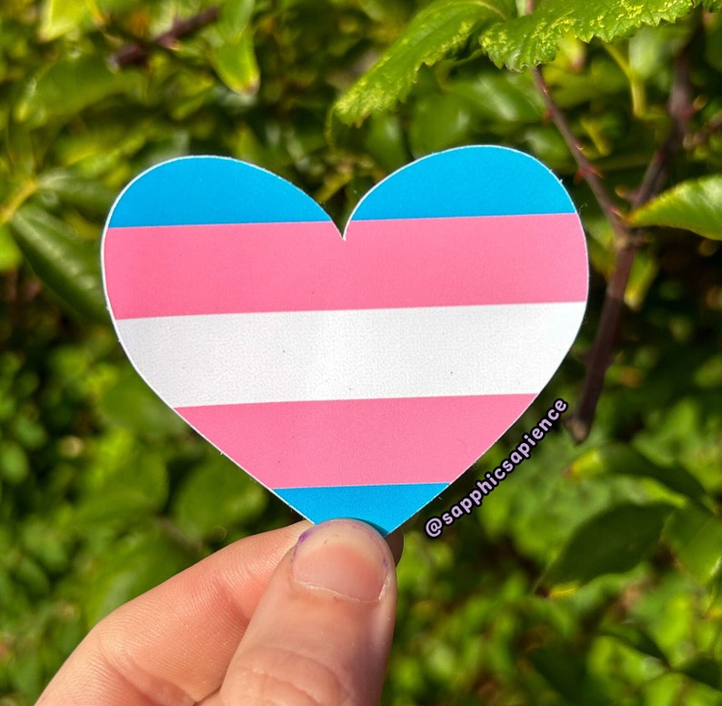 Transgender Flag