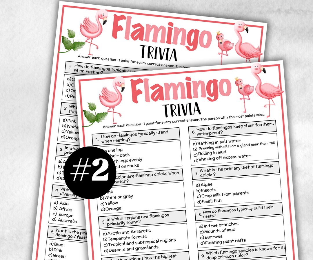 Flamingo Trivia Party, Wild Themed Birthday, Trivia Game Night, Game ...