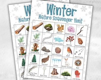 Winter Nature Scavenger Outdoor Activity, Printable Outdoor Activity ...