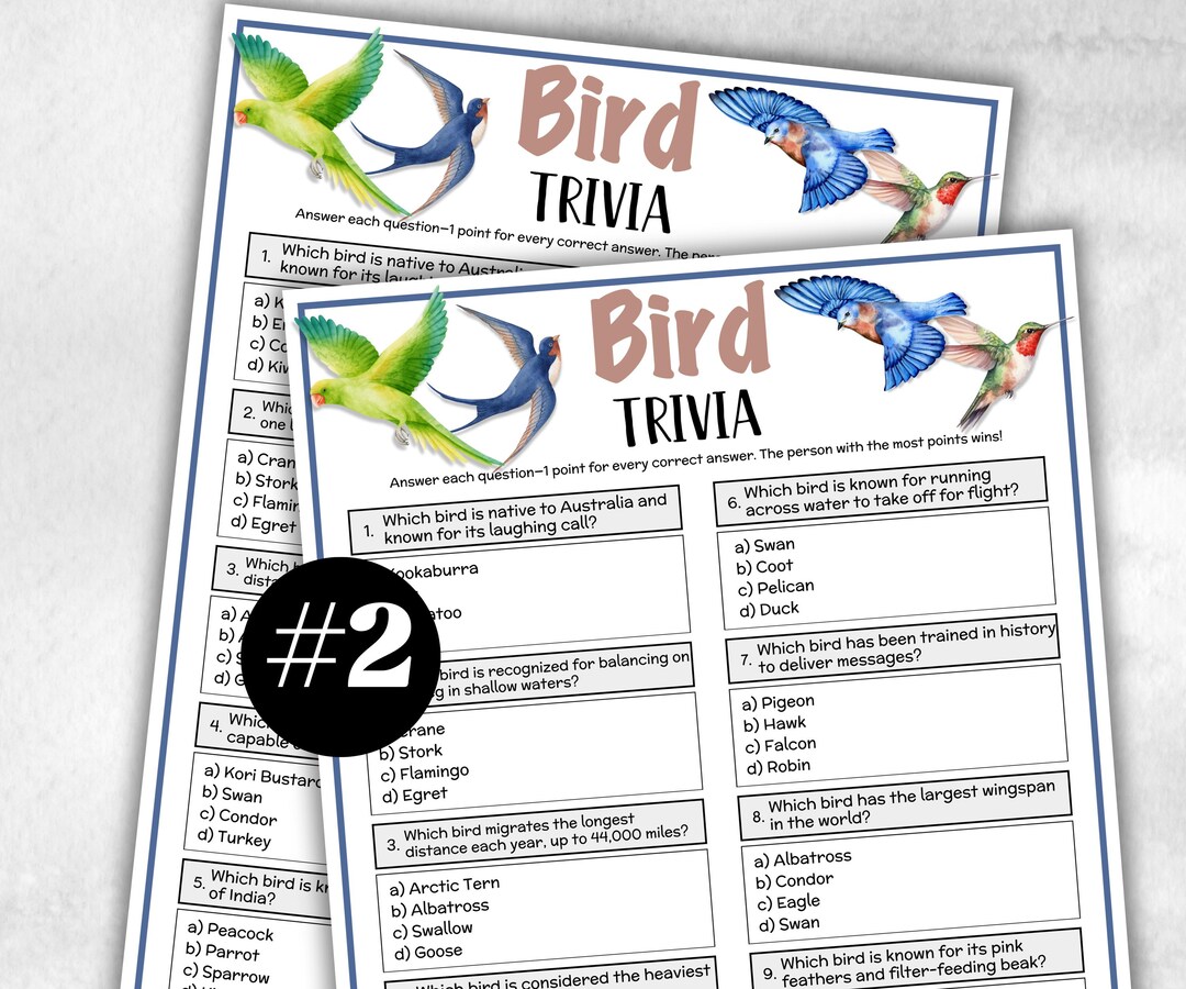 Bird Trivia Party, Forest Themed Birthday Party, Trivia Game Night ...