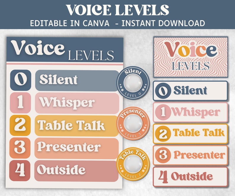 Voice Level Chart, Voice Level Display, Noise Level Display, Class ...