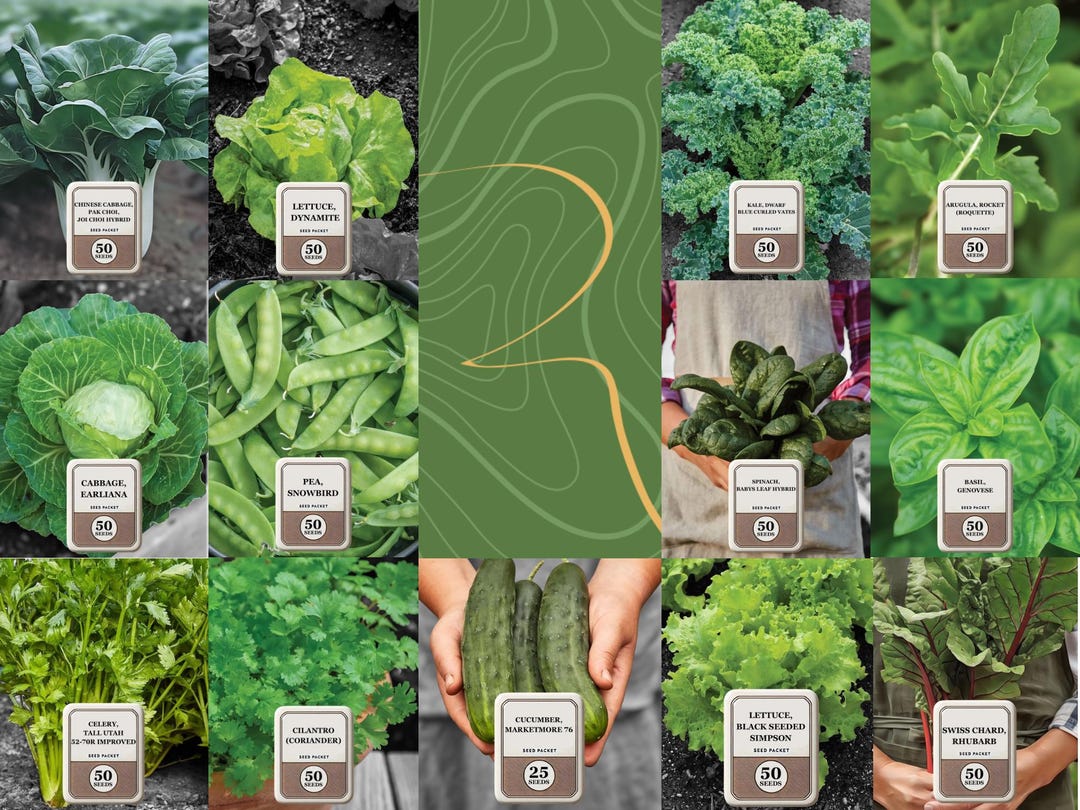 Assorted Greens Seed Packs 13 Varieties of Fresh Greens for Gardens ...