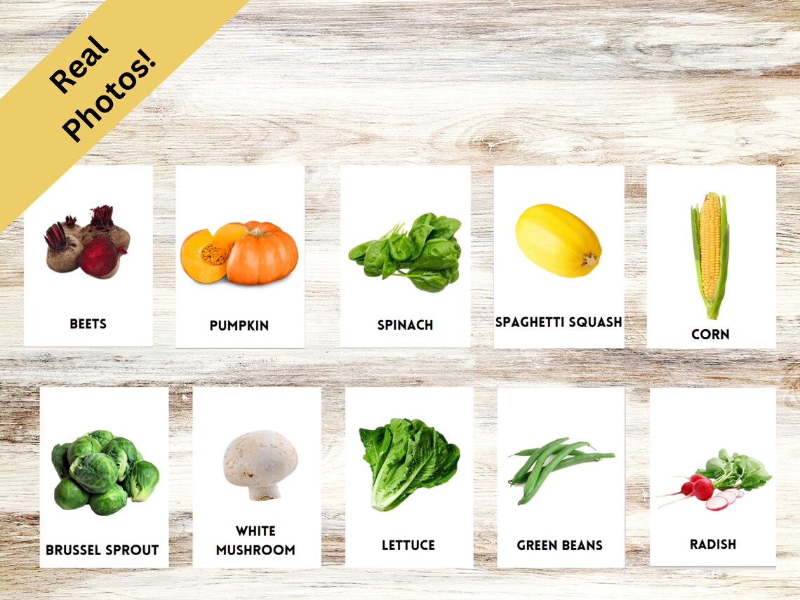 Montessori Flash Cards, Flash Cards, Nomenclature Flash Cards, PDF ...