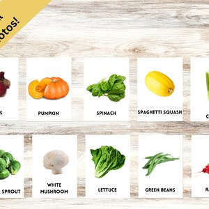 Montessori Flash Cards, Flash Cards, Nomenclature Flash Cards, PDF ...