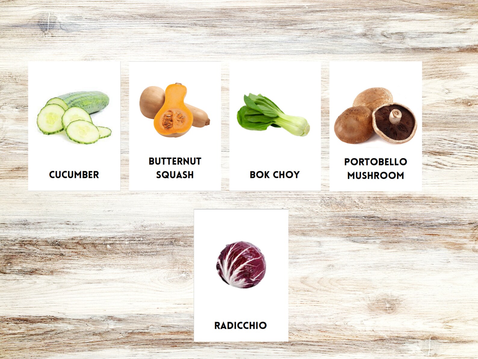 Montessori Flash Cards, Flash Cards, Nomenclature Flash Cards, PDF ...
