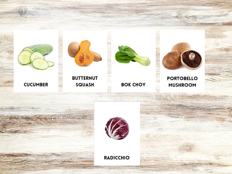 Montessori Flash Cards, Flash Cards, Nomenclature Flash Cards, PDF ...