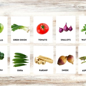 Montessori Flash Cards, Flash Cards, Nomenclature Flash Cards, PDF ...