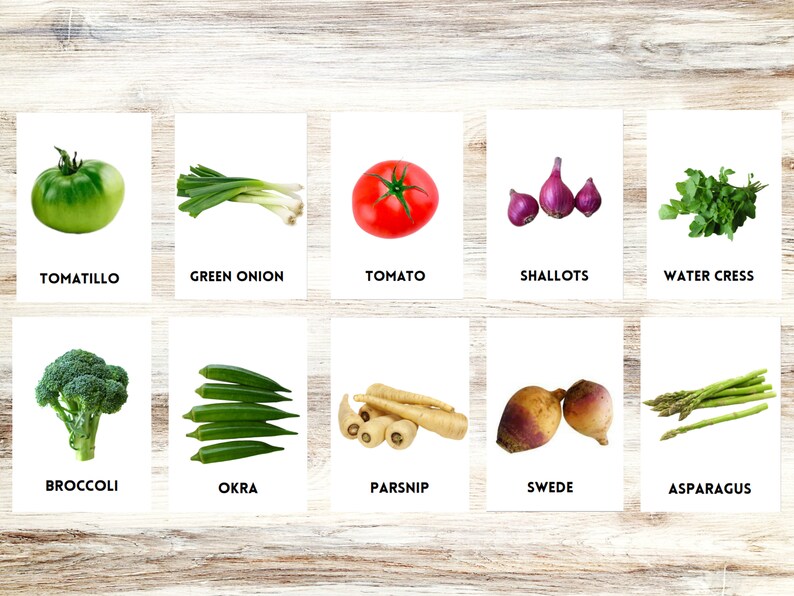 Montessori Flash Cards, Flash Cards, Nomenclature Flash Cards, PDF ...