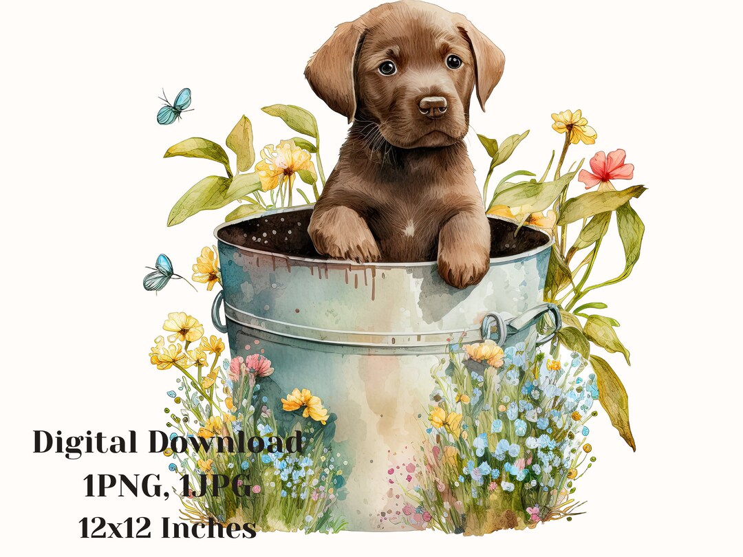 Brown Labrador, Dogs, Dog Png, Dog Shirt, Dog Art, Dog Clipart, Dog ...