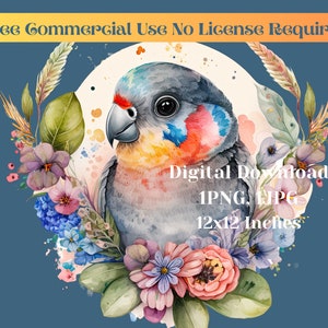 Parrot Png, Watercolor Animals, Clipart Animals, Digital Clipart ...