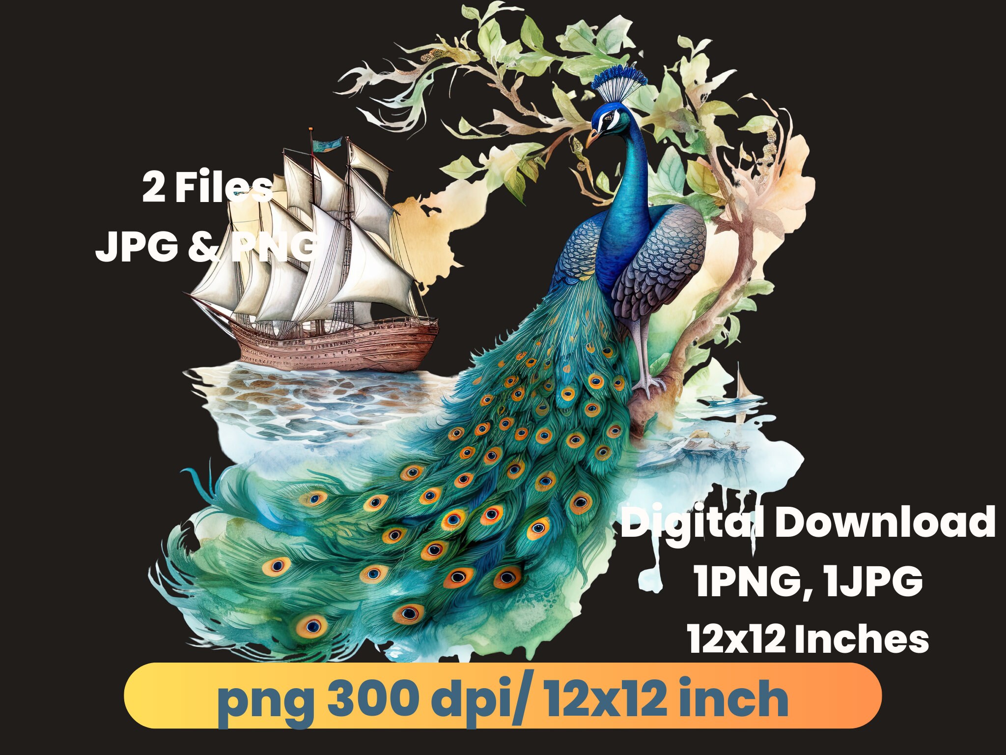 Peacock Watercolor Clipart Bird Clipart Digital Download - Etsy