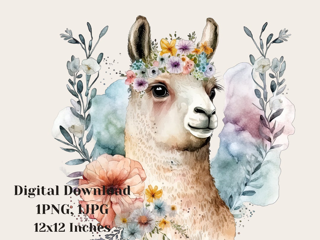 Llama Png, Llama Watercolor Clipart, Baby Llama Illustration, Cute ...