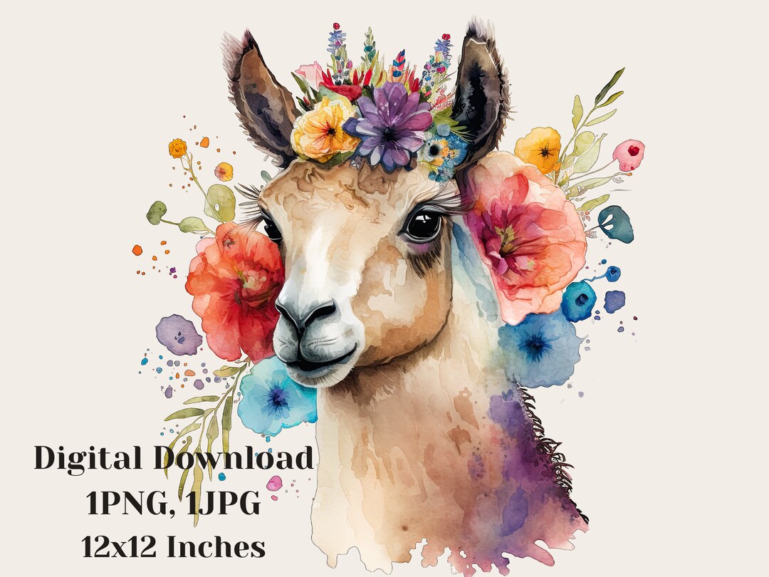 Llama Watercolor Clipart, Baby Llama Illustration, Cute Animal Graphic ...