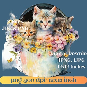 Kittens in Bucket, Watercolor Kitten Clipart, Cat Png, Cute Cat Clip ...