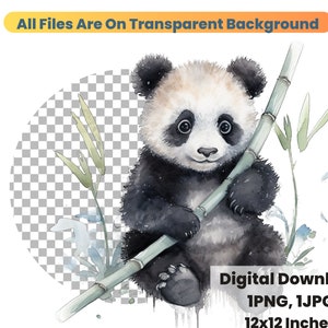 Cute Panda Watercolor Clipart, Digital Paper, Graphic Design ...