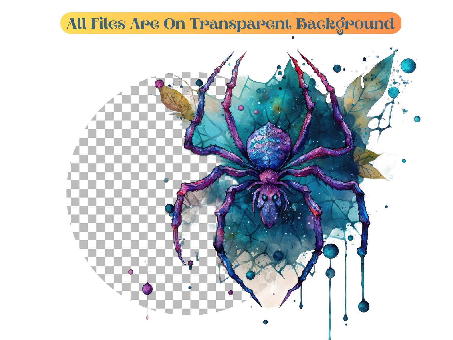 Spider, Spider Clipart, Instant Download, PNG, Commercial Use ...