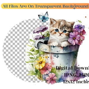 Kitten in Bucket, Watercolor Kitten Clipart, Cat Png, Cute Cat Clip Art ...