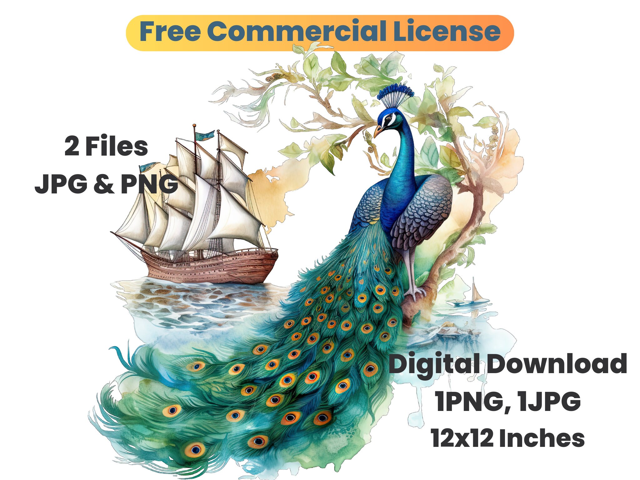 Peacock Watercolor Clipart Bird Clipart Digital Download - Etsy