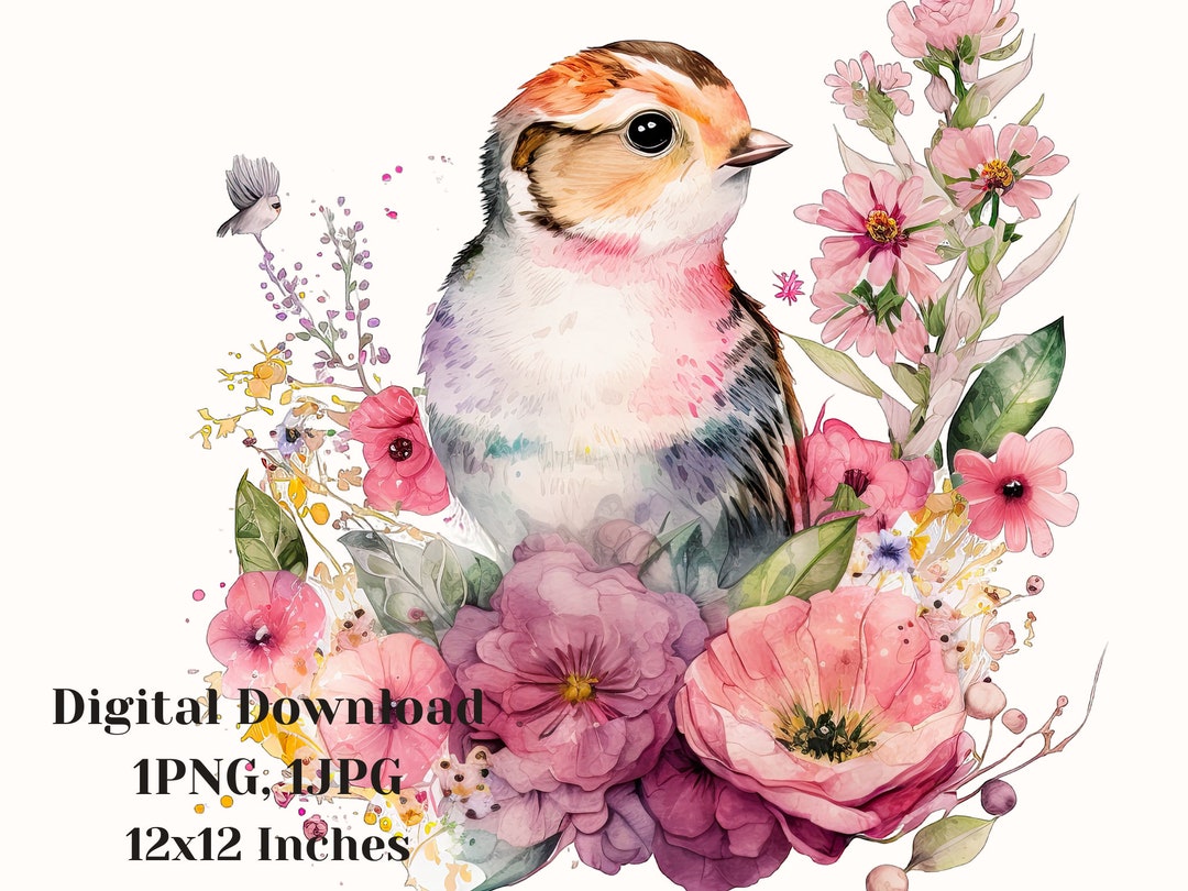 Watercolor Birds, Watercolor Animals, Clipart Animals, Digital Clipart ...