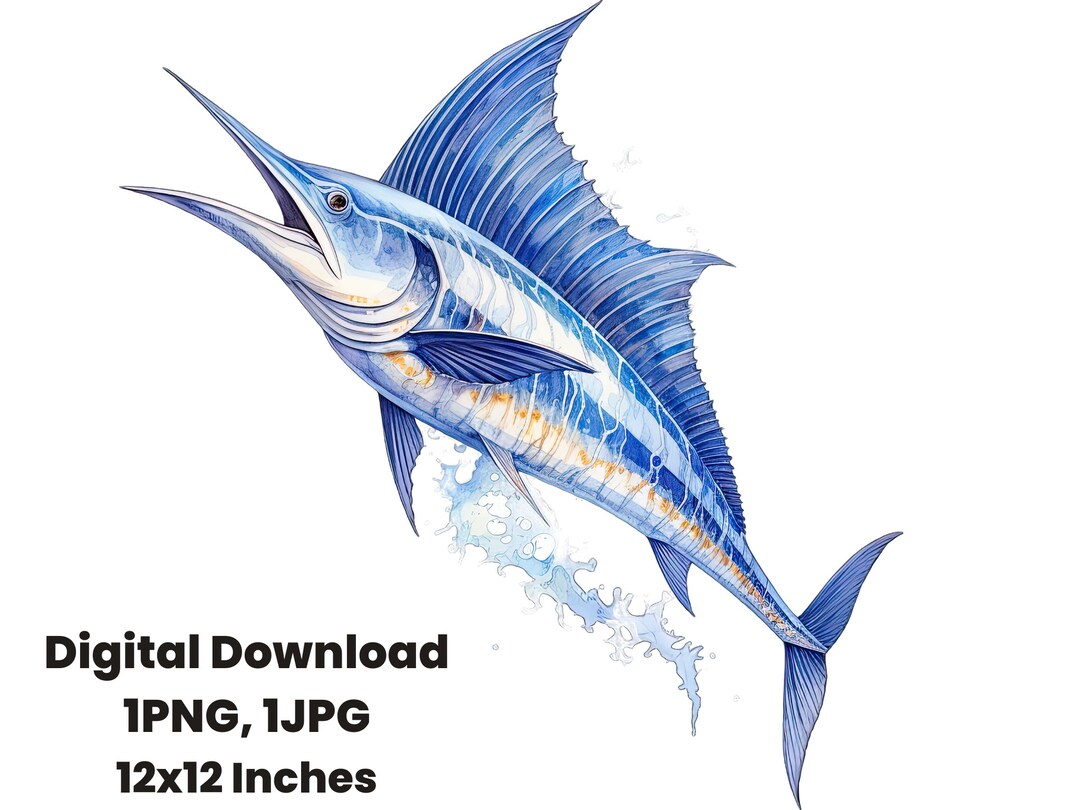 Striped Marlin Fish Watercolor Saltwater Fish Clipart Marin Fish ...