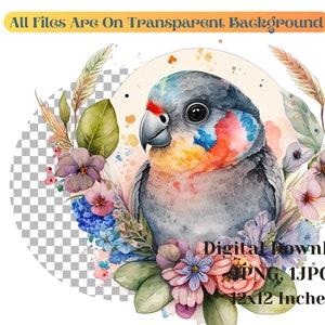 Parrot Png, Watercolor Animals, Clipart Animals, Digital Clipart ...