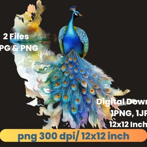 Beautiful Peacock Watercolor Clipart, Bird Clipart, Digital Download ...