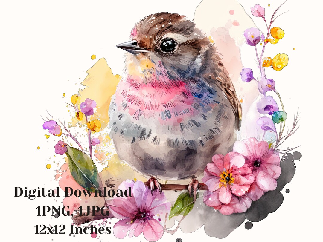 Watercolor Bird Paintings, Watercolor Birds, Watercolor Animals ...