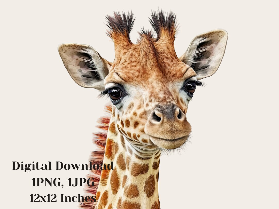 Giraffe Watercolor Clipart,baby Giraffe Illustration, Nursery Jungle ...