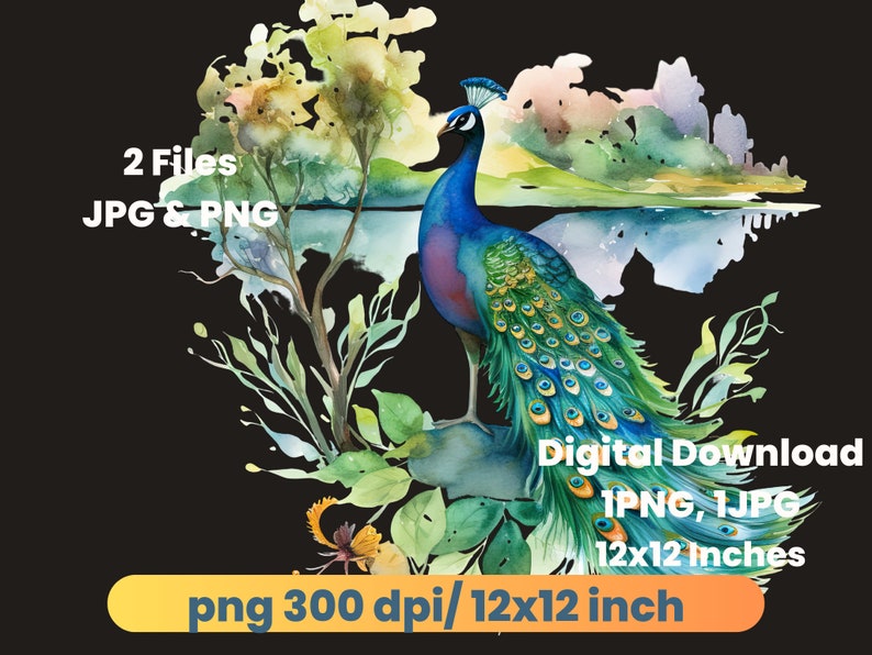 Pretty Peacock Watercolor Clipart Bird Clipart Digital - Etsy