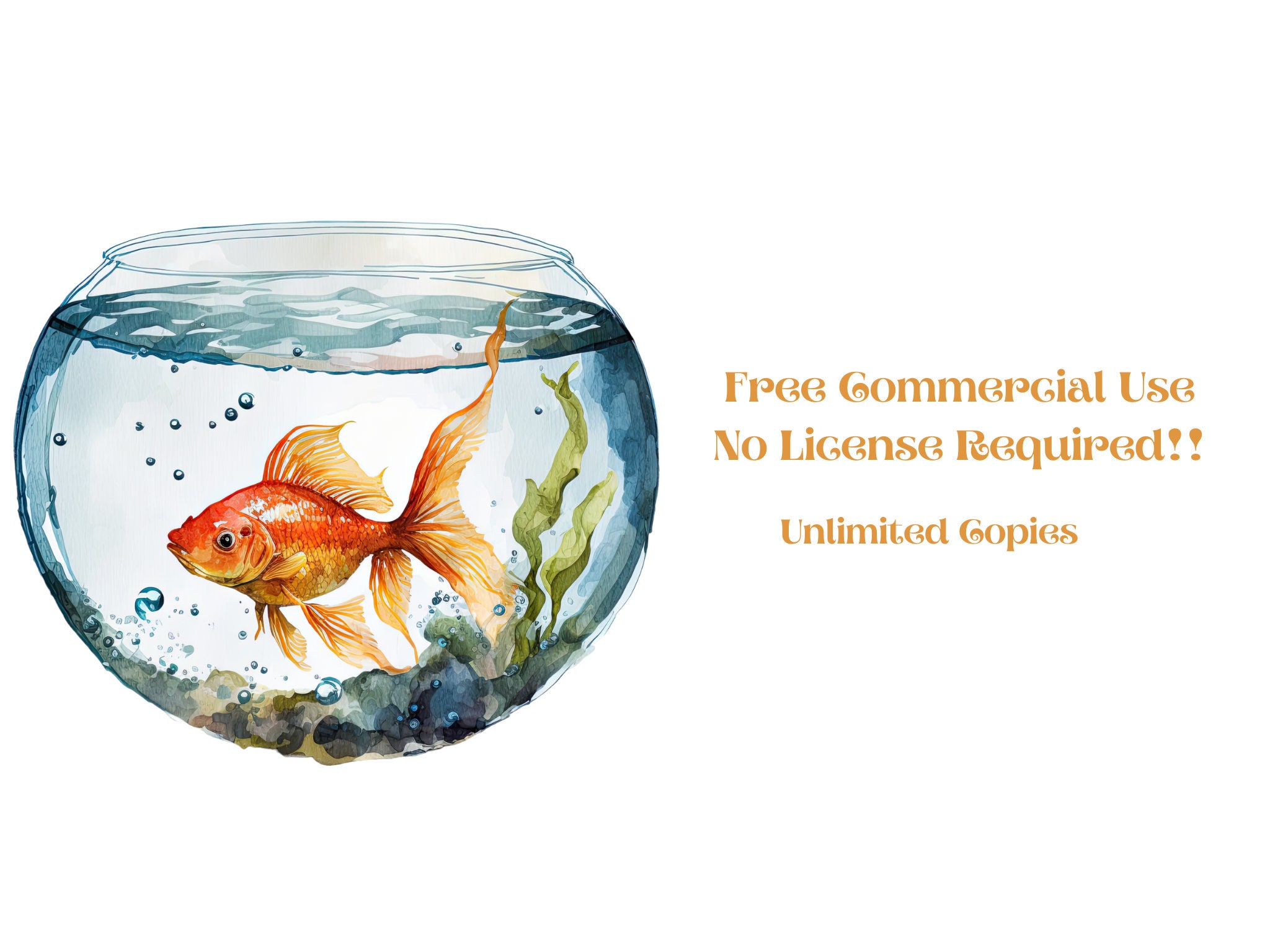 Fish Bowl Fish Art Watercolor Transparent Clip Art PNG - Etsy