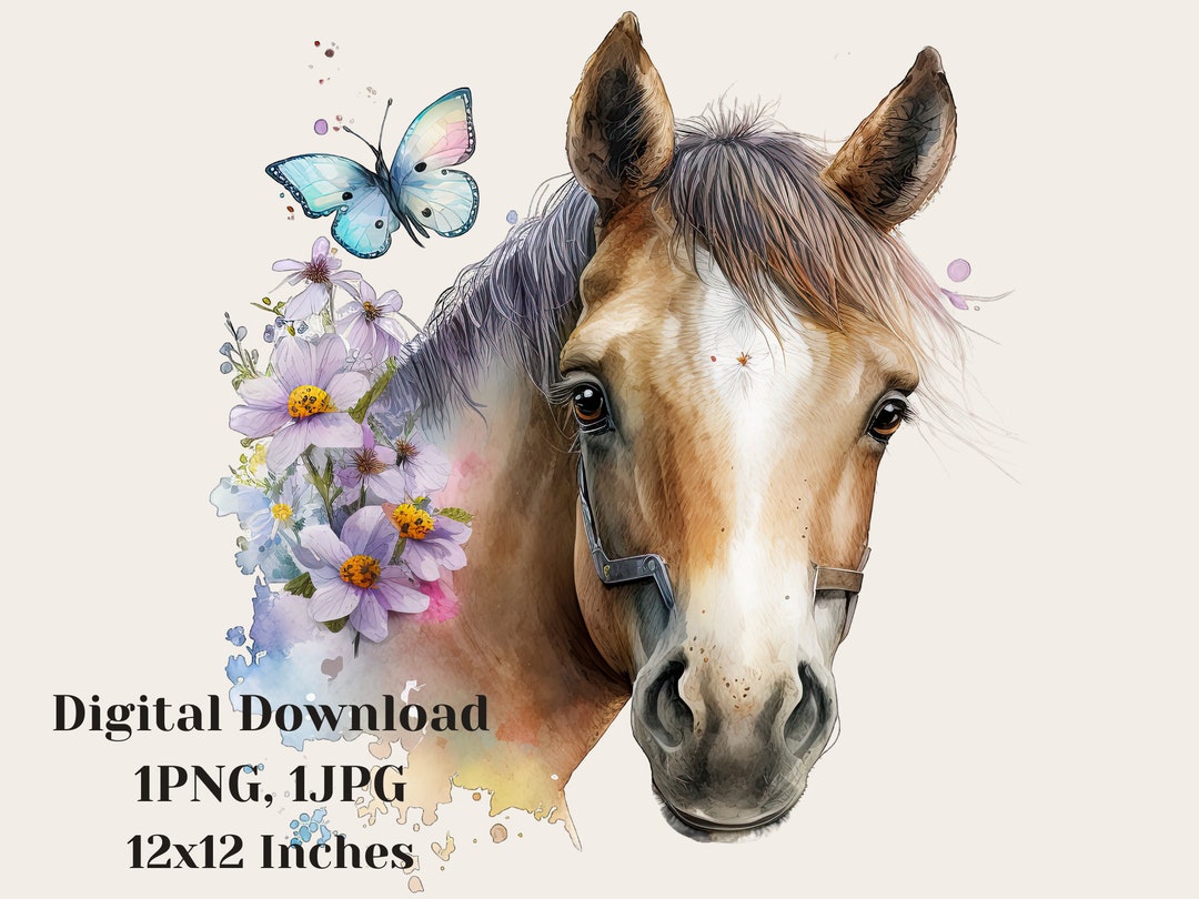Horse Clipart, Horse Watercolor Clipart, Baby Horse Illustration, Cute ...