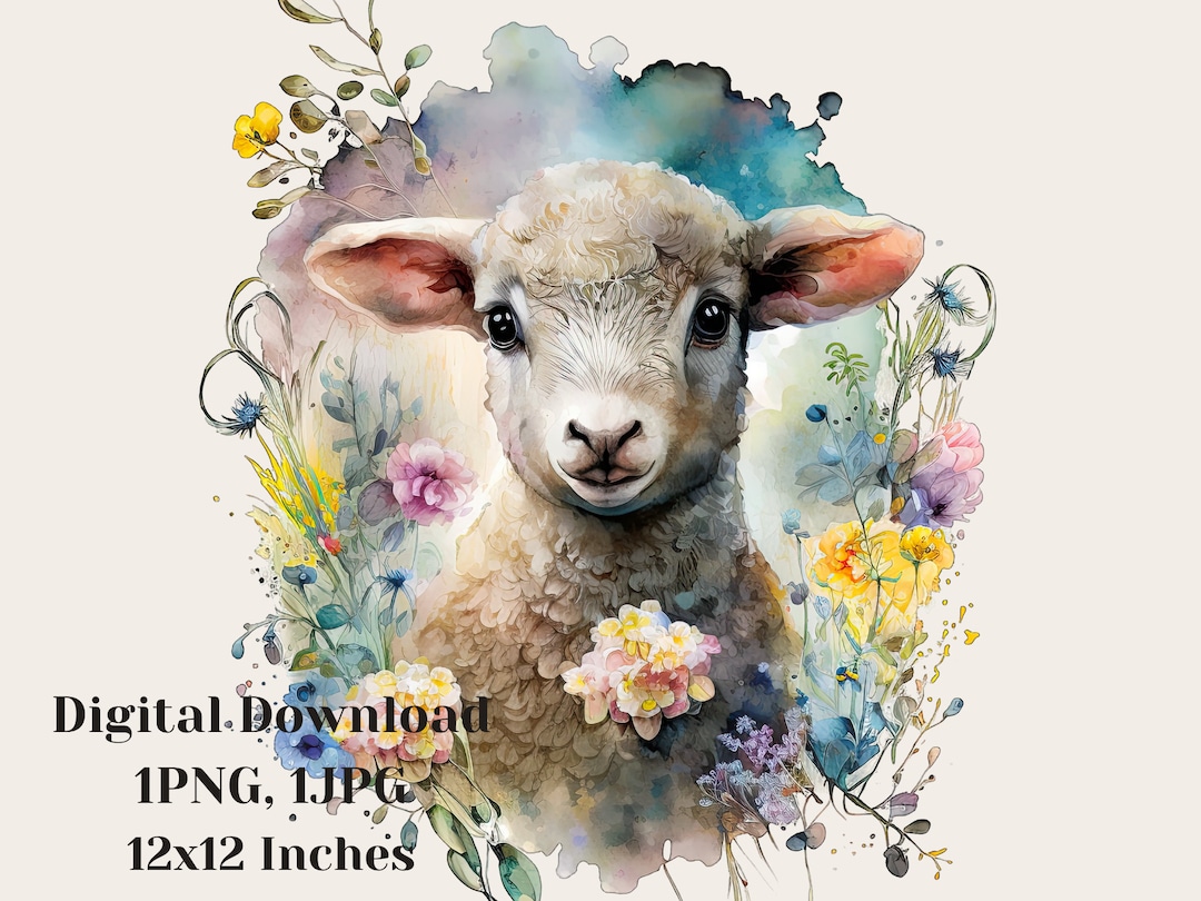 Baby Lamb Illustration, Cute Animal Graphic, Hand Painted Farm Animal ...