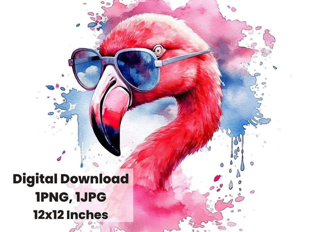 Pink Watercolor Clipart Flamingo With Shades, Bird Clipart, Digital ...
