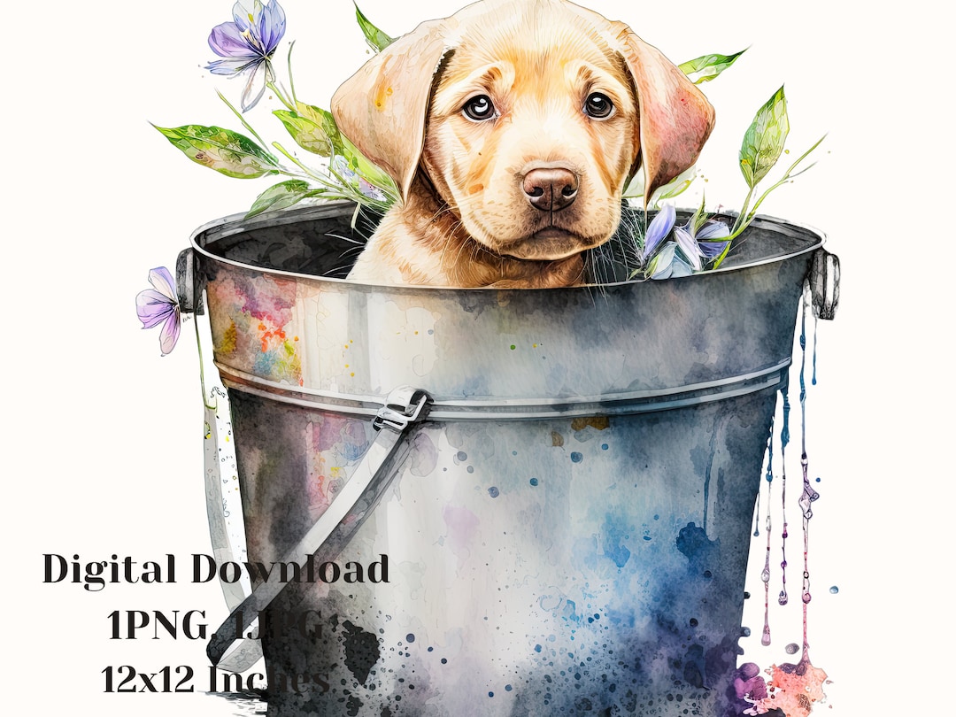 Yellow Lab Png, Dogs, Dog Png, Dog Shirt, Dog Art, Dog Clipart, Dog ...