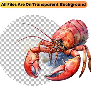 Crawfish Watercolor Clipart, Lobster Png, Mudbug Clipart, Crawdads, Crayfish, Cajun Clipart ...